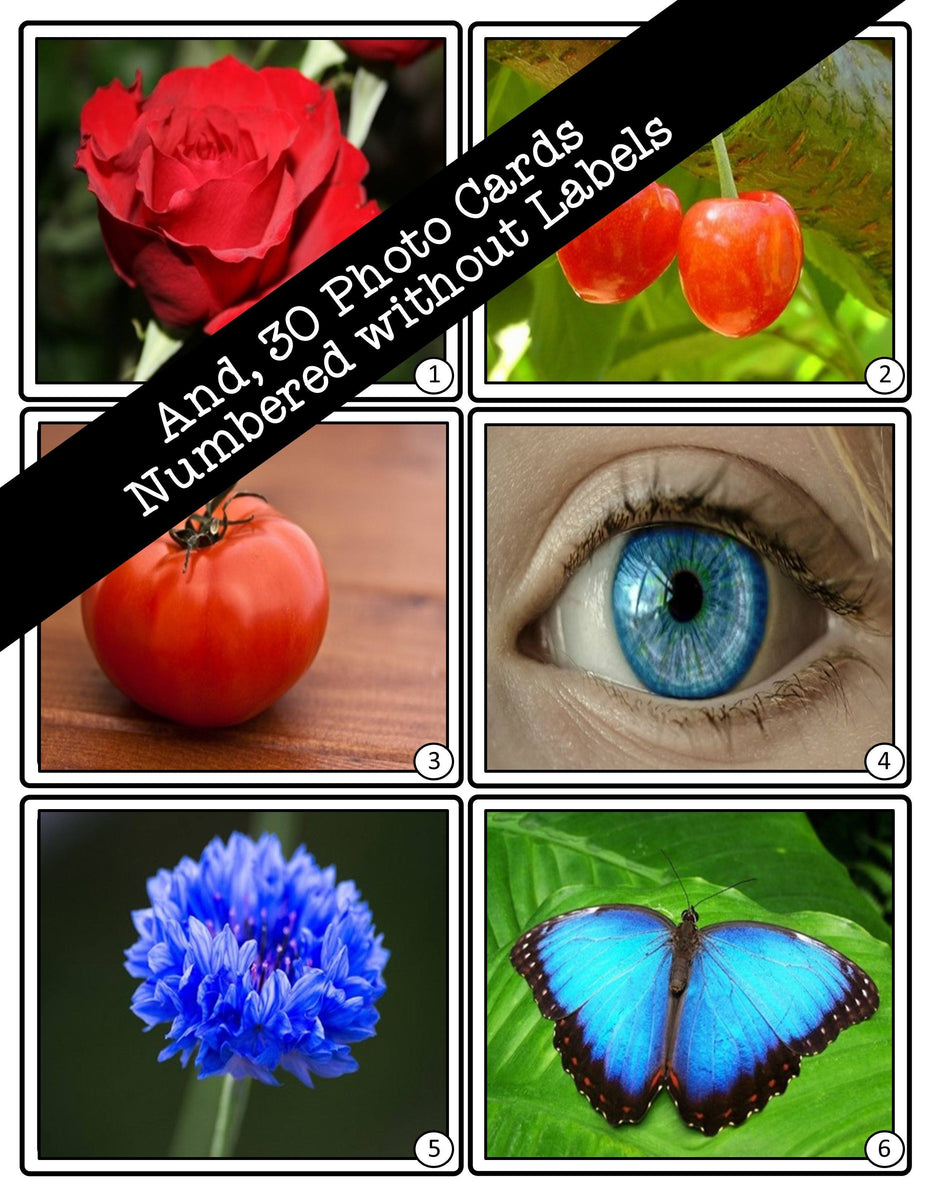 Colors PHOTO CARDS – The Elementary SLP