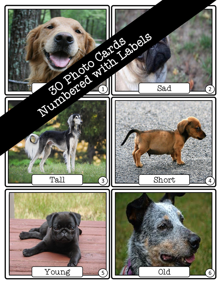 Qualitative Concepts PHOTO CARDS – The Elementary SLP