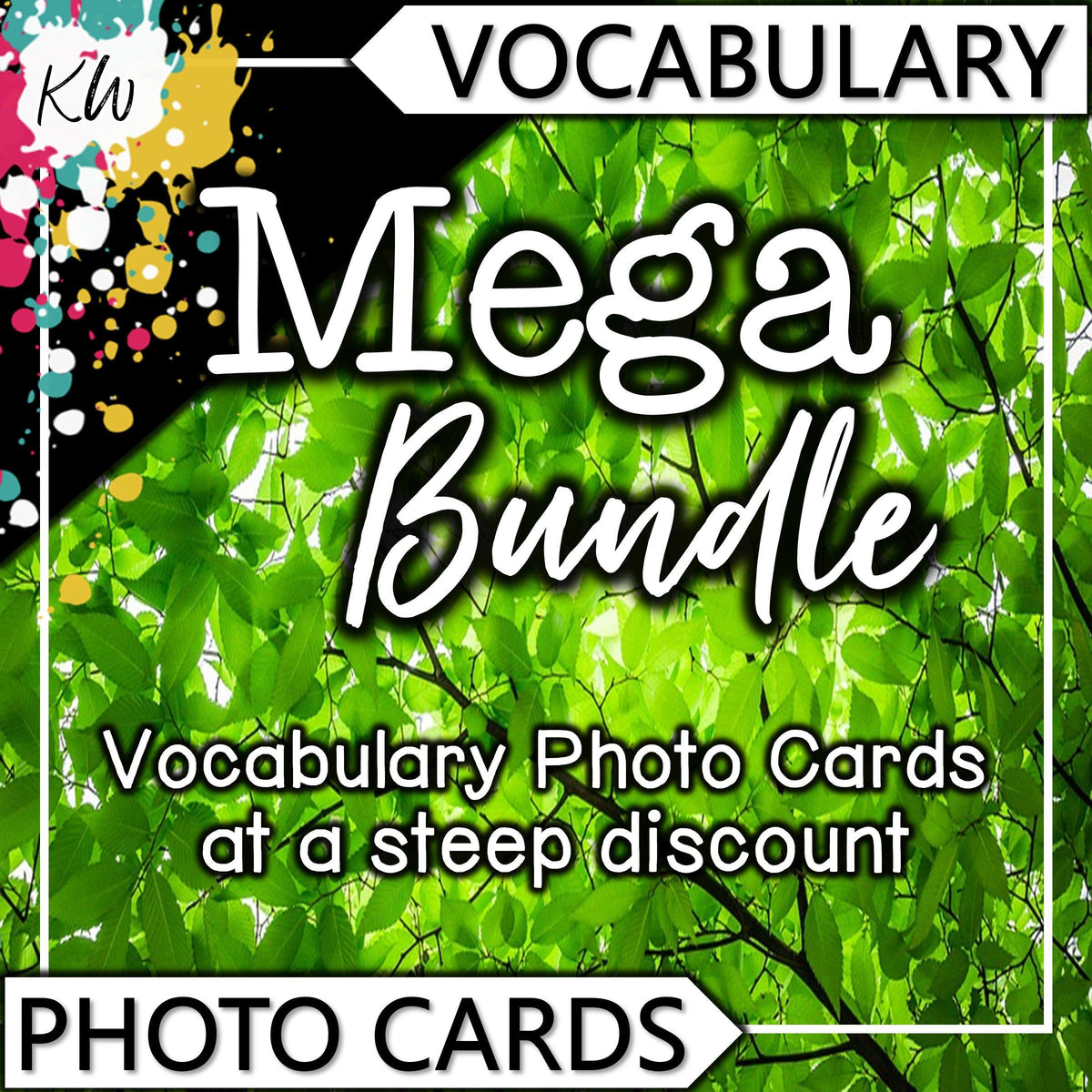 Vocabulary PHOTO CARDS Mega Bundle – The Elementary SLP